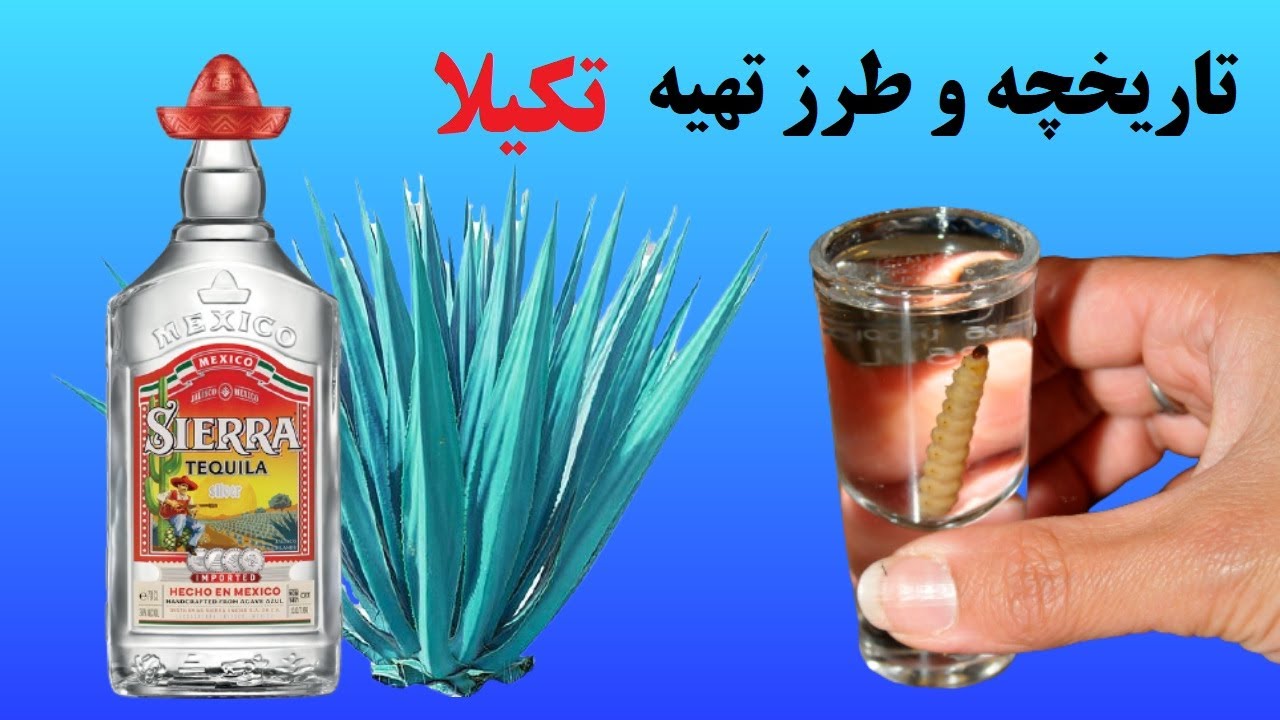 طرز تهیه تکیلا در مکزیک - How to make Tequila in Mexico - YouTube