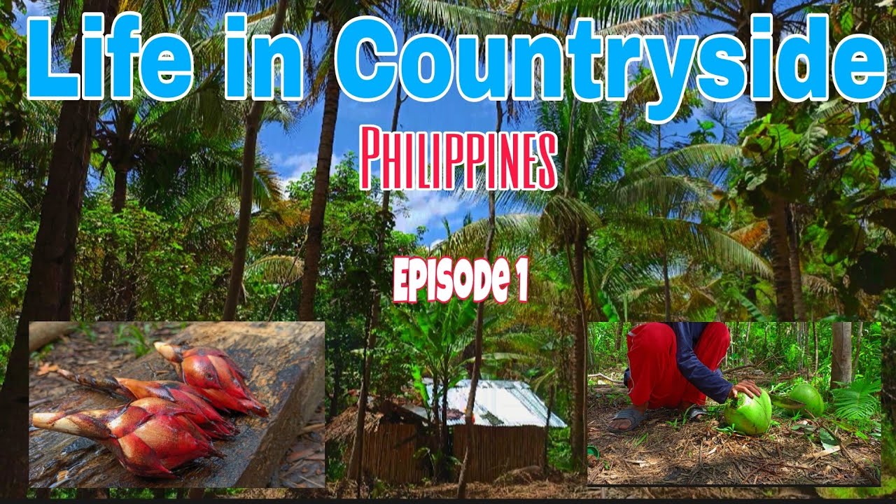 GETTING PINUON FRUIT FOR SNACK, A YOUNG COCONUT FOR REFRESHMENT || Life ...