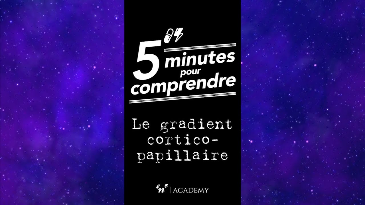 Le gradient cortico-papillaire - 5 minutes pour comprendre - YouTube