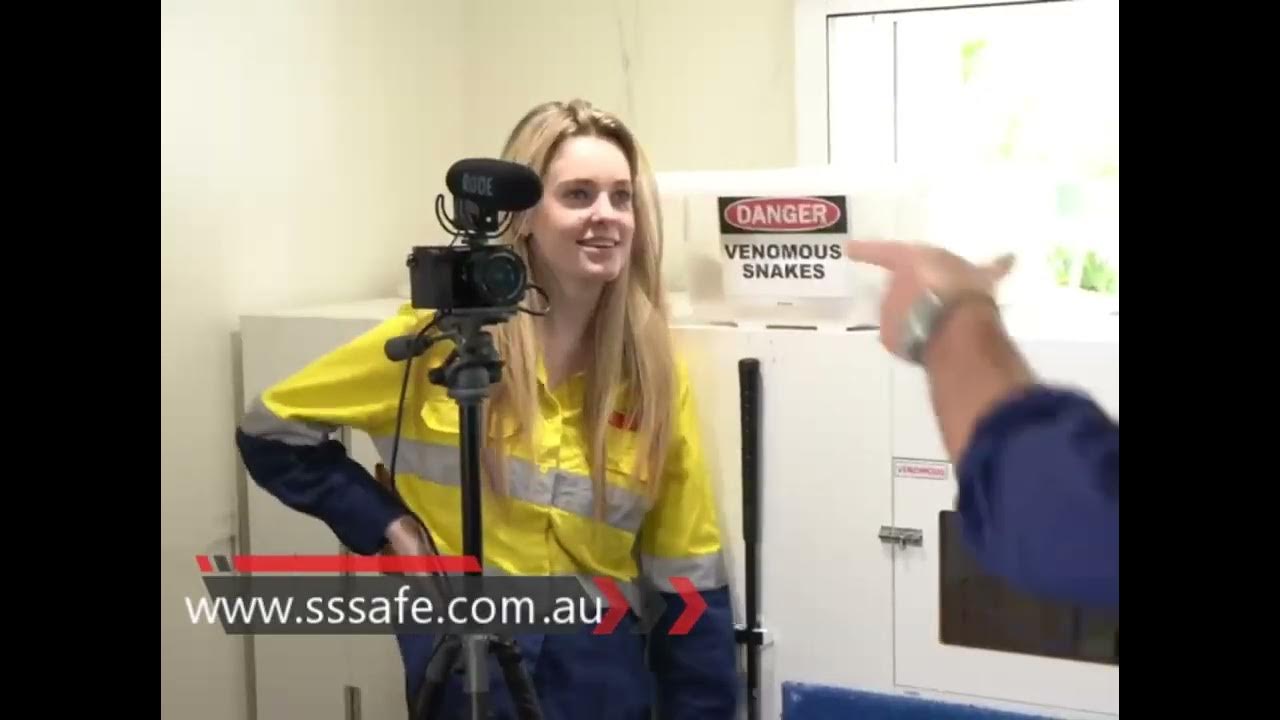 SSSafe: Snake and Spider Awareness For Employees - YouTube