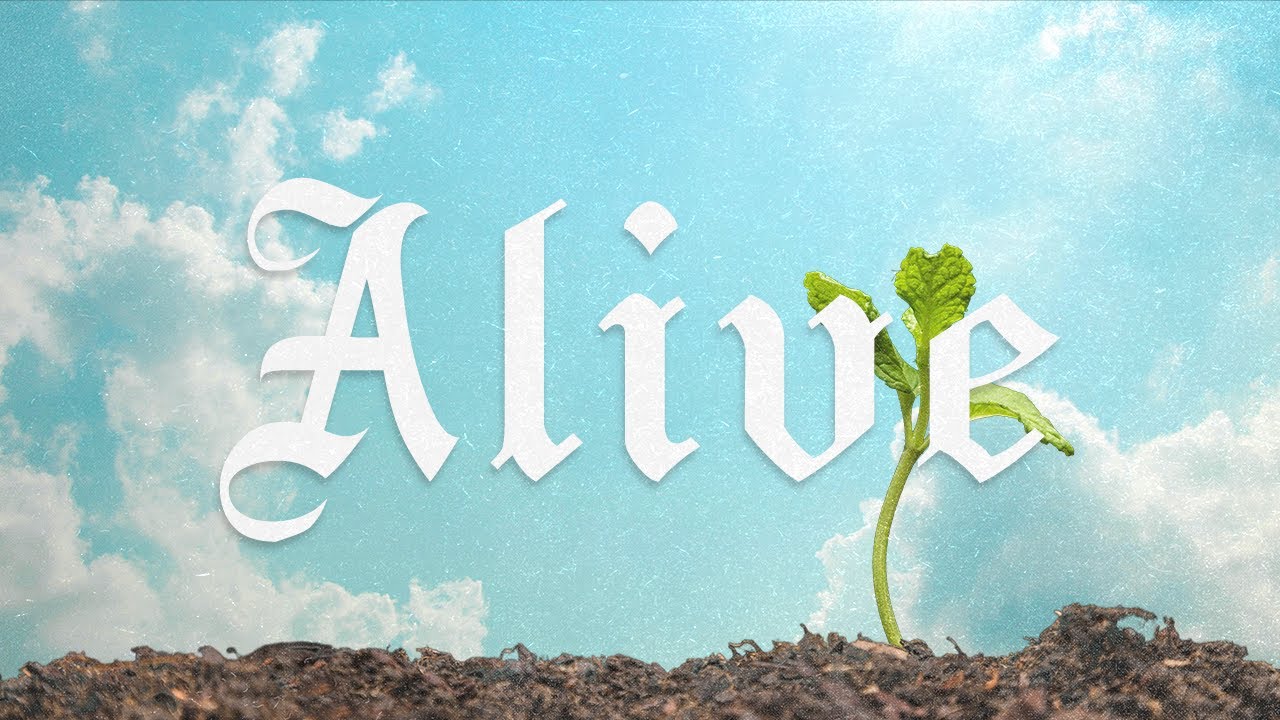 Team Kid Award Night/Joy Ride Musical 2025 - YouTube