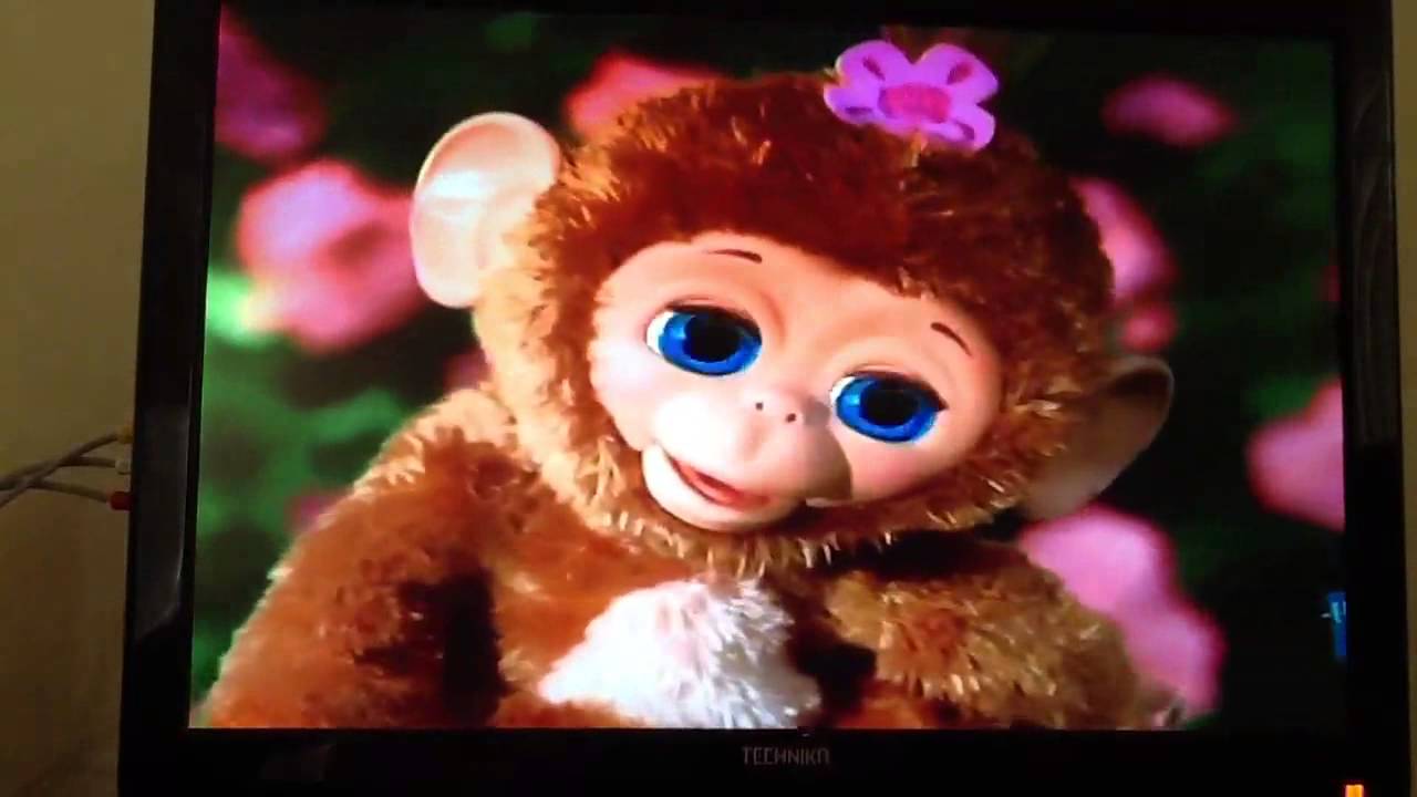 Cuddles my giggly monkey - YouTube