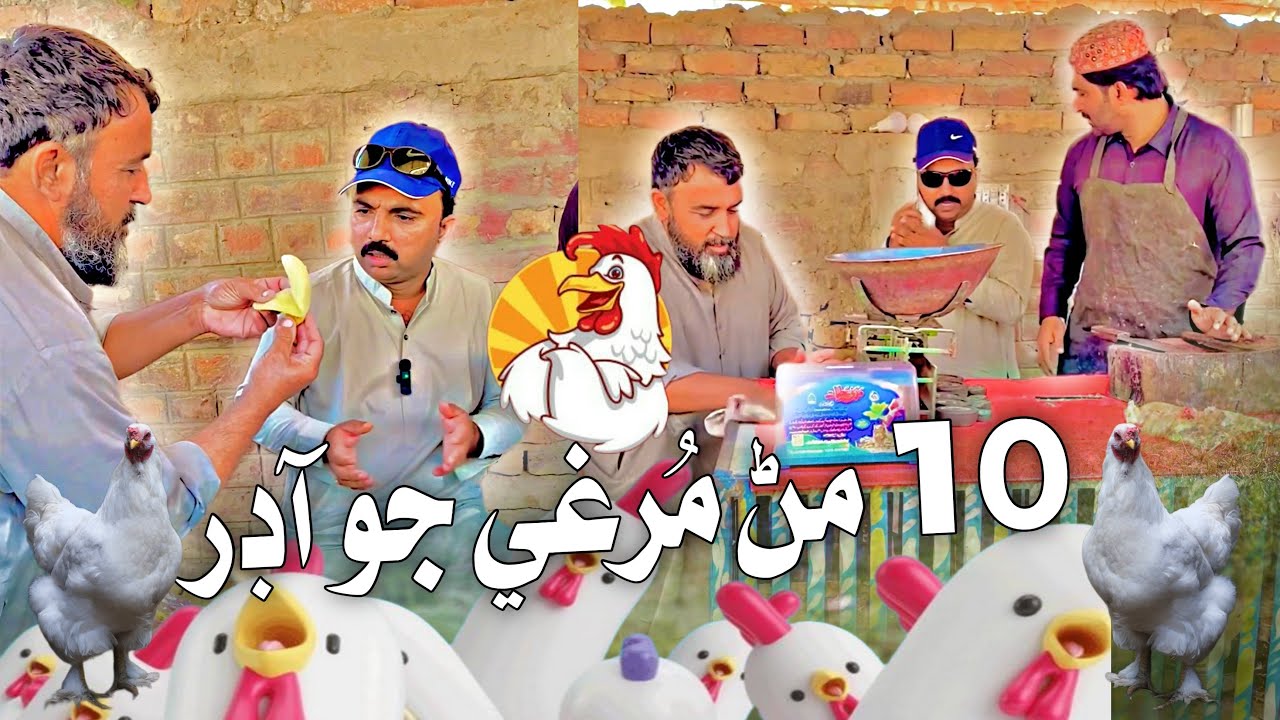 10 Mann Murghi Jo Order | Sajjad Makhni | Popat Khan - YouTube