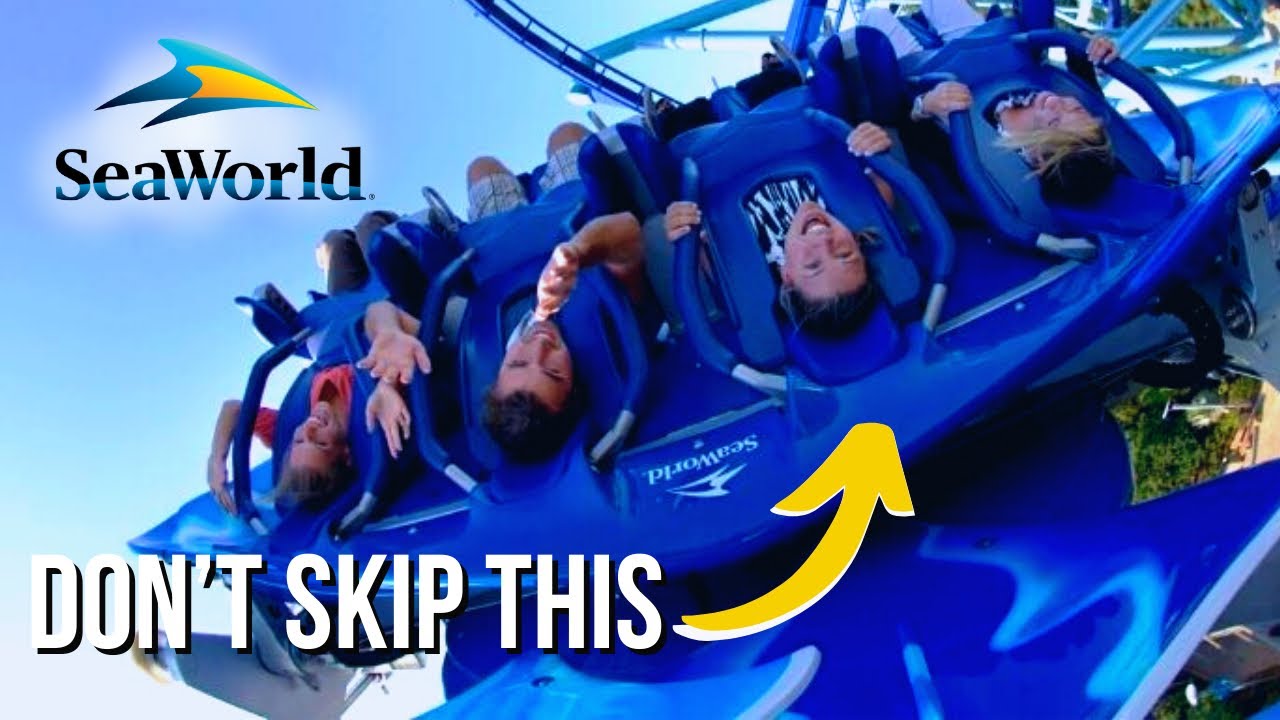 These are the 3 BEST roller coasters at SeaWorld Orlando You Can't Miss ...