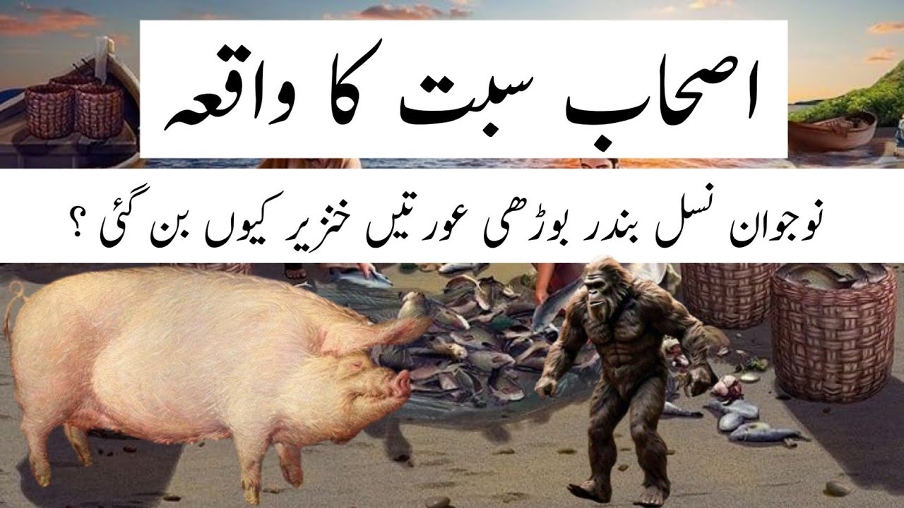 Ashab E Sabt Ka Waqia | Bani Israel Ki Qaum Bandar Aur Khanzeer Kyun ...