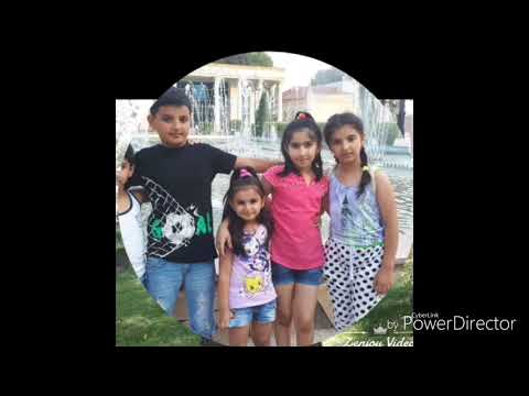 Şekiller