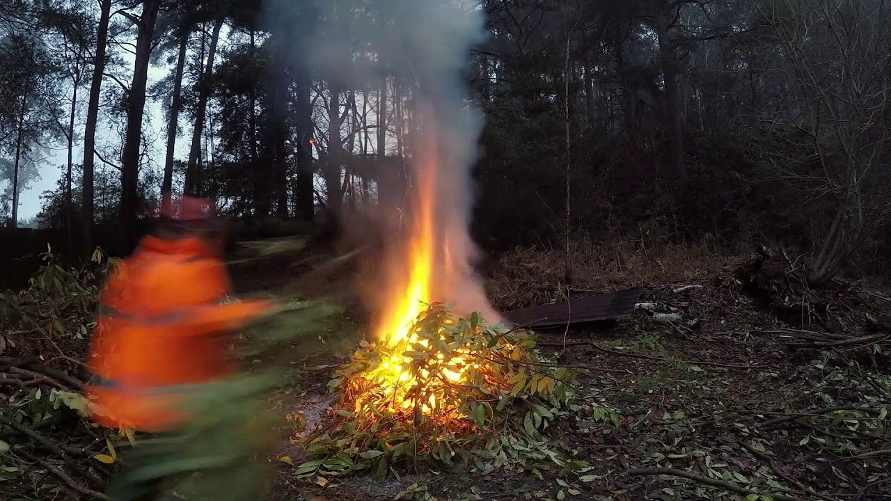 more overgrown laurel cutting and burning - YouTube