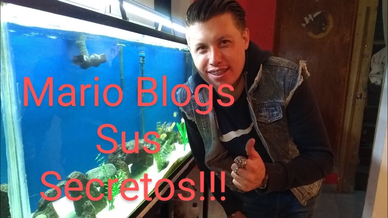 Mario Blogs sus secretos !!! 😎😬😯 1/2 - YouTube