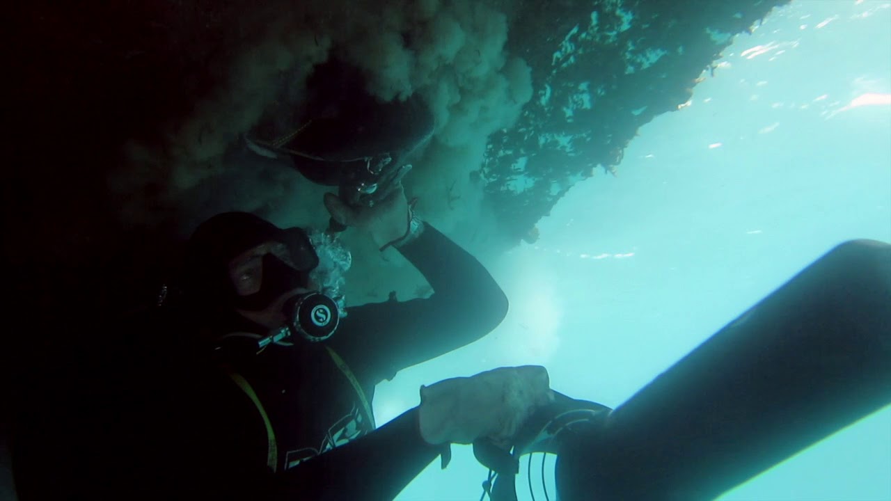 STINGRAY STEALTH SYSTEM - YouTube