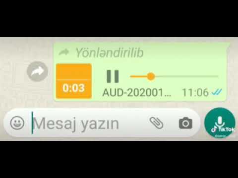 Azeri prikol.O Yazey Bu yazey(Tiktok-da yayılan  video)