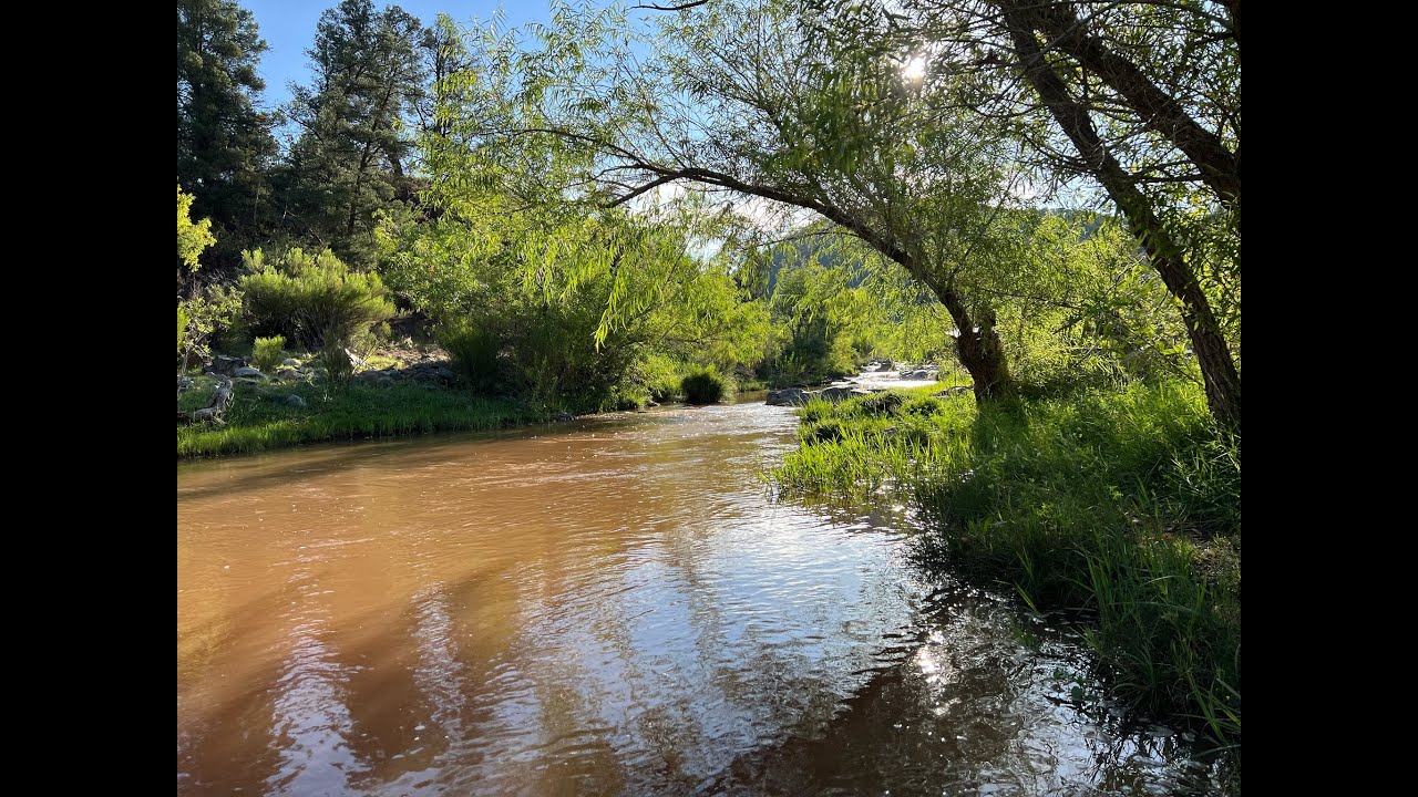 FR 502 easy trail in Payson, AZ with fishing - YouTube