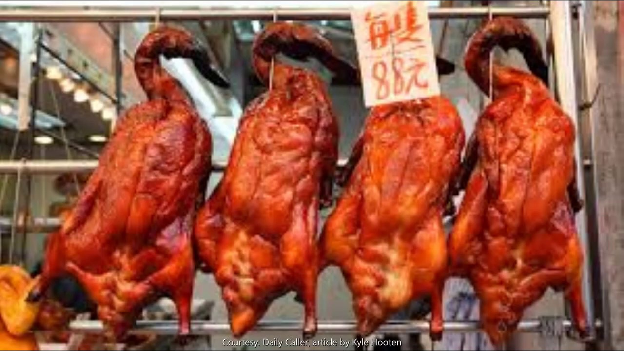 Live animal markets reopened in China Article by Kyle Hooten Video ...