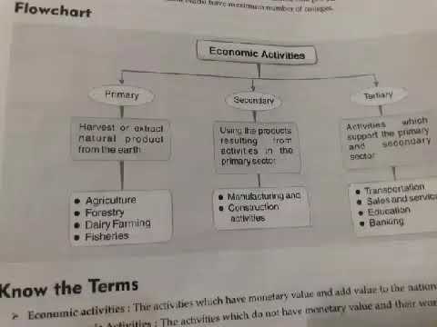 Economic activity 9th geography||Economic Activities 9class || cbse ...