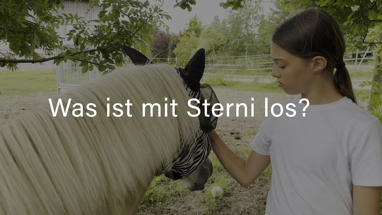 Was ist los mit Fohlen Sterni? 😔 - YouTube