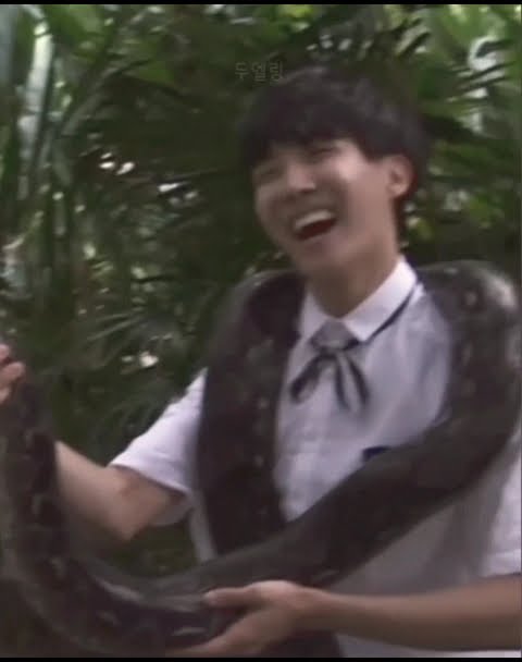 the fakest smile ever seen 🤣🤣#bts #jungkook #jhope #taekooklover - YouTube