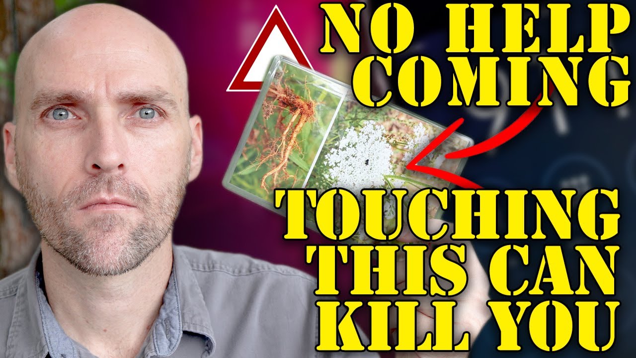 NO HELP IS COMING - LEARN THIS SKILL TODAY OR RISK DISASTER - IDENTIFY ...