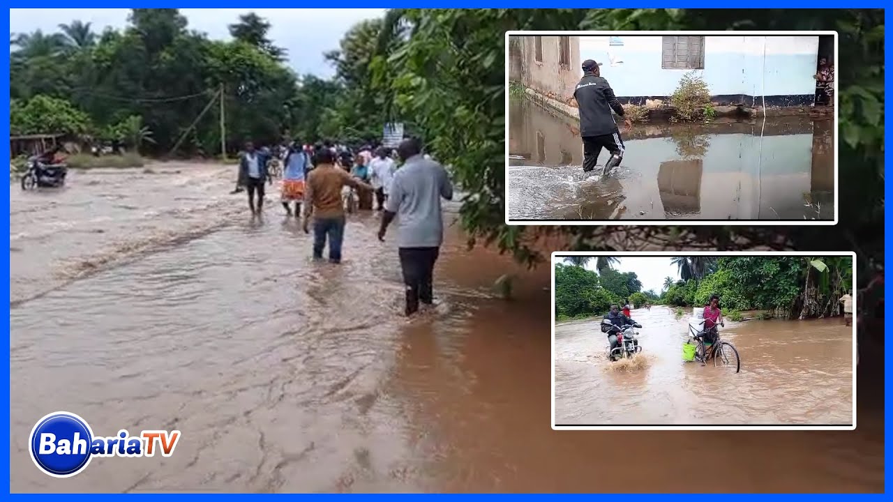 Hali ilivyo Kyela Inasikitisha!! MAFURIKO YASOMBA MAZAO NA MIFUGO ...