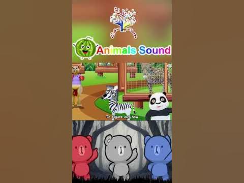The Animal Sounds Song || At The Zoo Song! || Just for you ♪ || Edufam ...