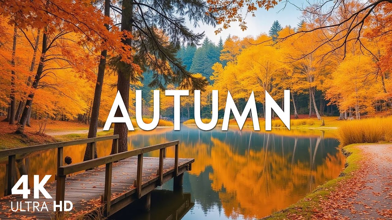 Enchanting Autumn Nature Scenes with Forest Sounds & Peaceful Music 🍂 ...