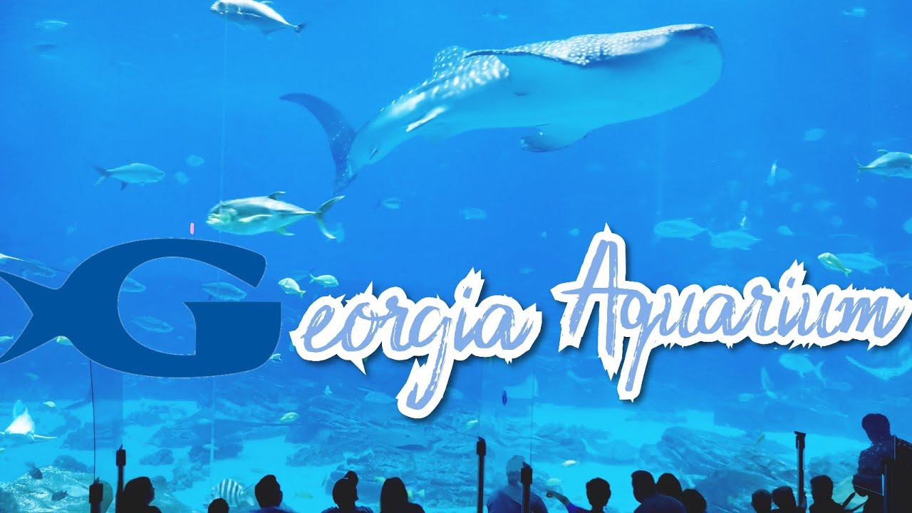 Georgia Aquarium (tour completo), el Acuario más grande del hemisferio ...