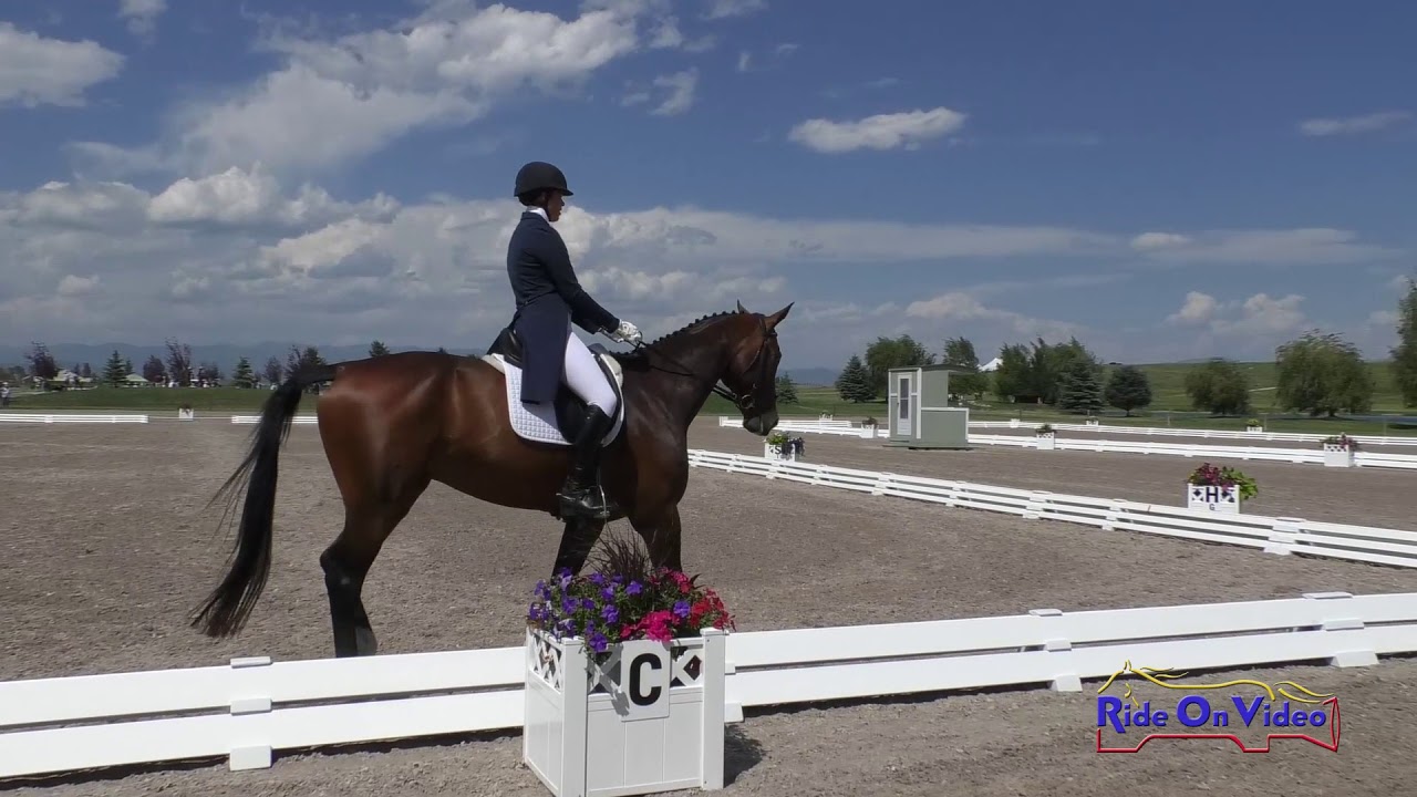 046D Krista Stevenson on Caison CCI1* Dressage Rebecca Farm July 2018 ...