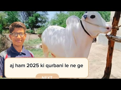 2025 ki qurbani le ne ge || vlogs with shane Hassan - YouTube