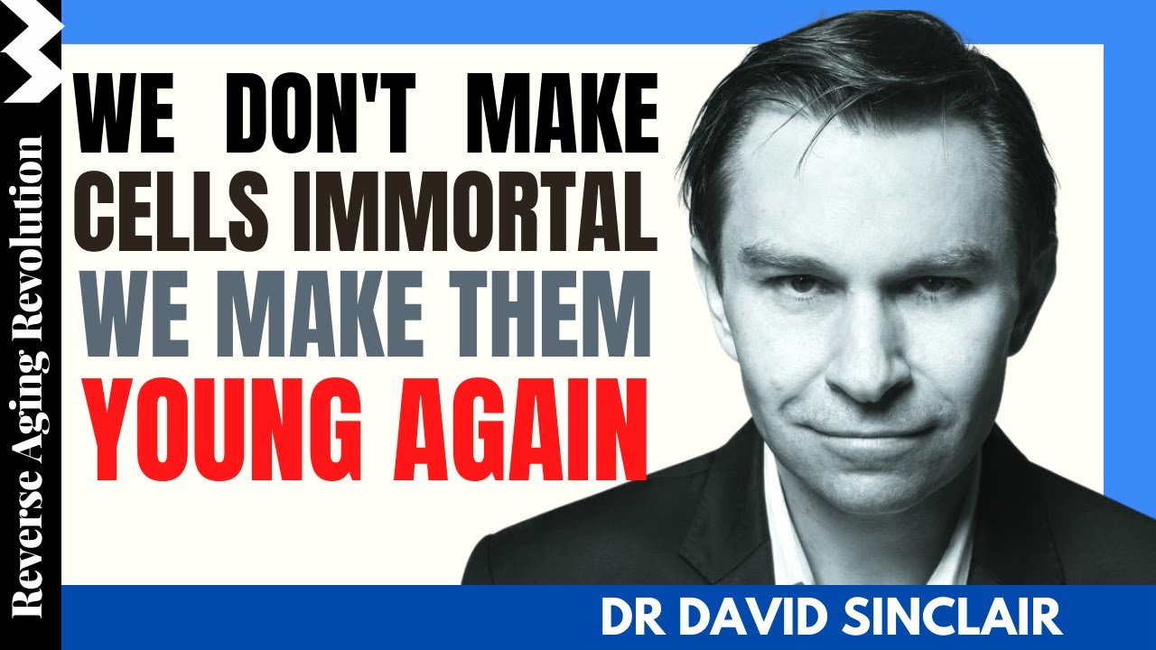 We Don't Make Cells Immortal, We Make Them Young Again | Dr David ...