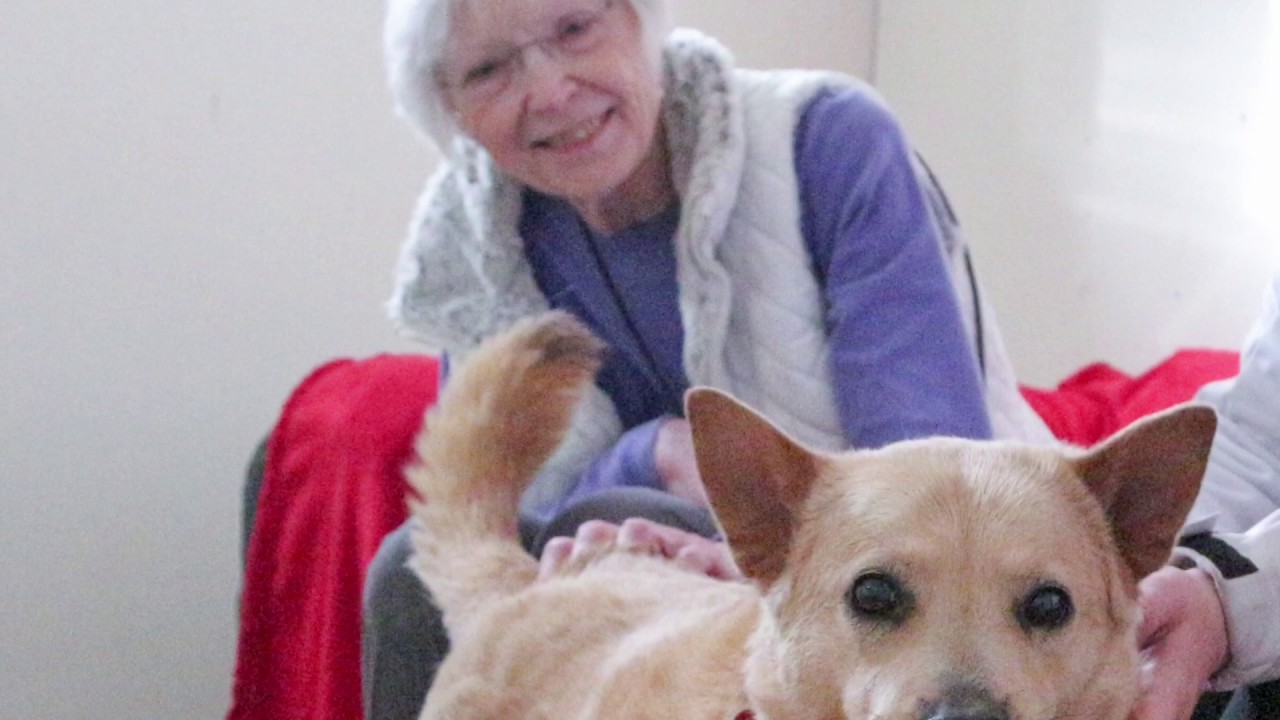 Jan Wills- A Celebration of Life - YouTube
