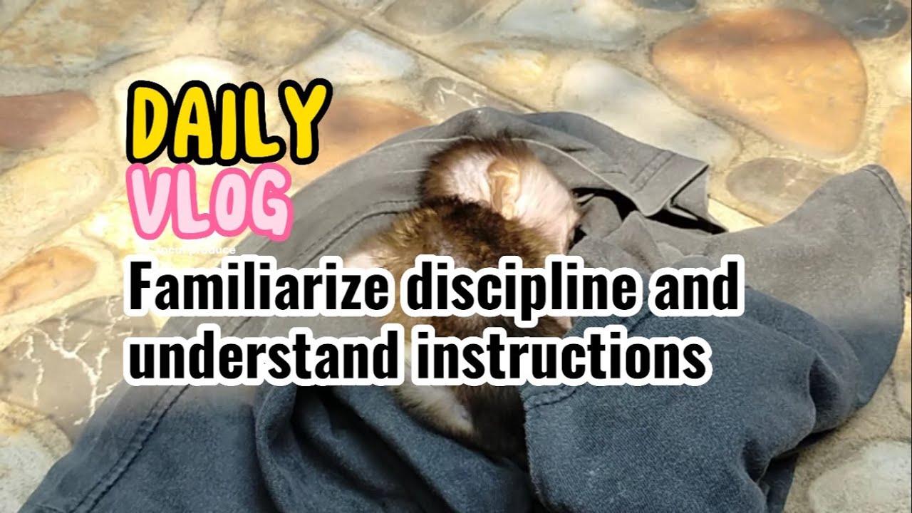 familiarize discipline and understand instruction , Lovely Fauna ...