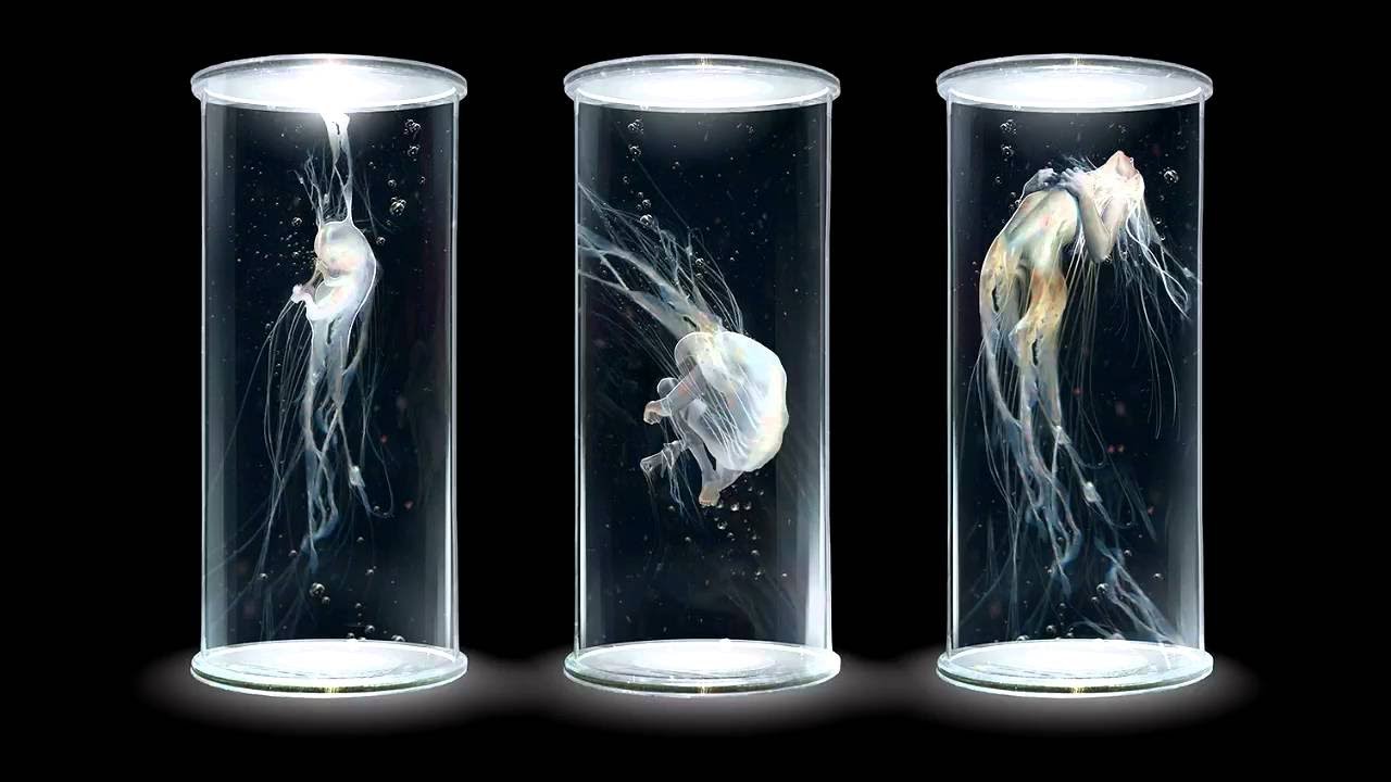 A DIVE INTO HUMAN CLONING FEATURING DONALD MARSHALL AND GEORGE GREEN ...