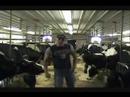 Milk the Cows Rap - YouTube