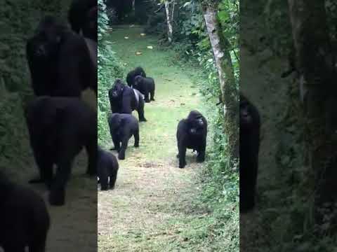 TEAM TAGUMPAY@ Short Video - YouTube