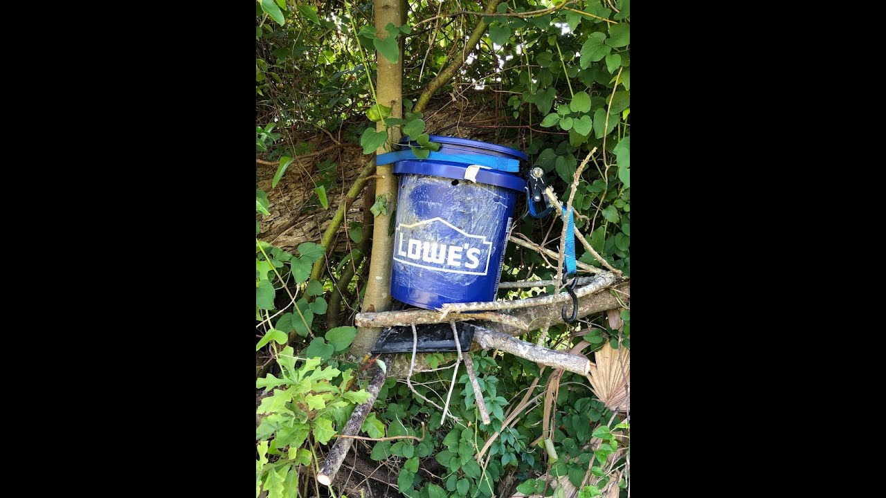My 5 Gallon Bucket Honey Bee Swam Trap - YouTube