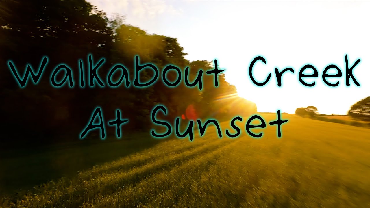 Walkabout Quotes