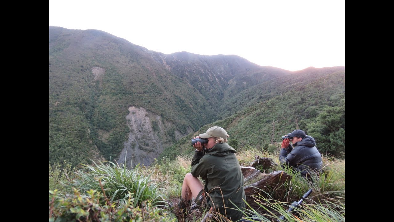 Ruahine Ranges Hunting - Lads Trip & Deer Down - YouTube