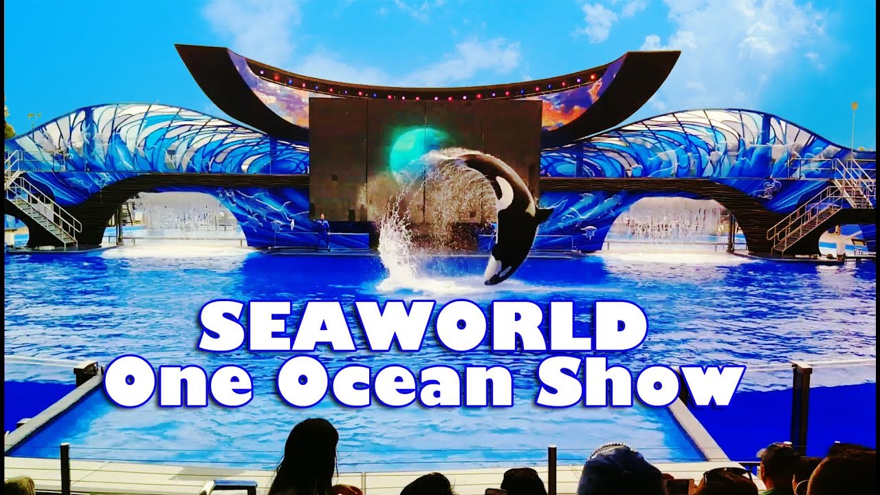 Seaworld - One Ocean Show - YouTube