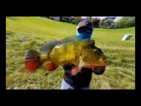 Keren Mancing menggunakan RC Helikopter