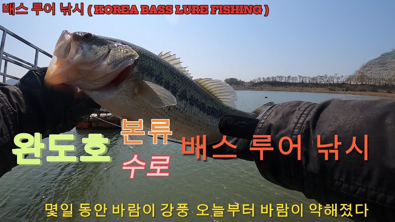 완도호 배스 루어 낚시 오늘 부터 바람이 약해지기 시작 했다 KOREA BASS LURE FISHING - YouTube