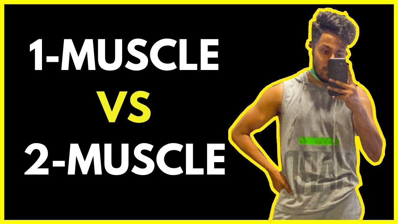 Bro-Split VS Science Split | 1 Muscle VS 2 Muscle in a day? | Which ...