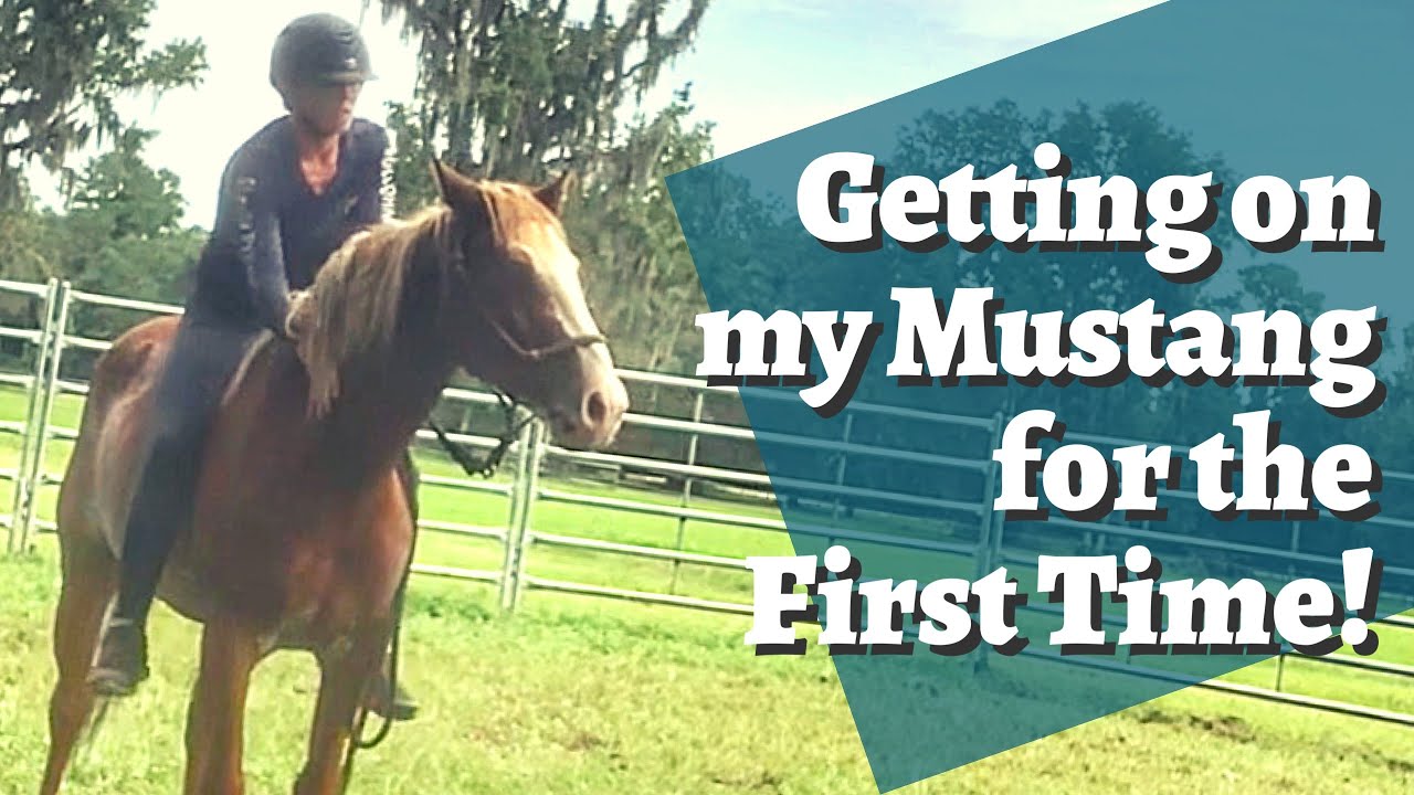 Getting on my Mustang for the First Time (Day 3 | Part II) - YouTube