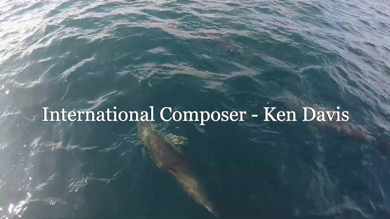 Love For The Dolphins - Call Of The Dolphin Album - The Most Celebrated ...