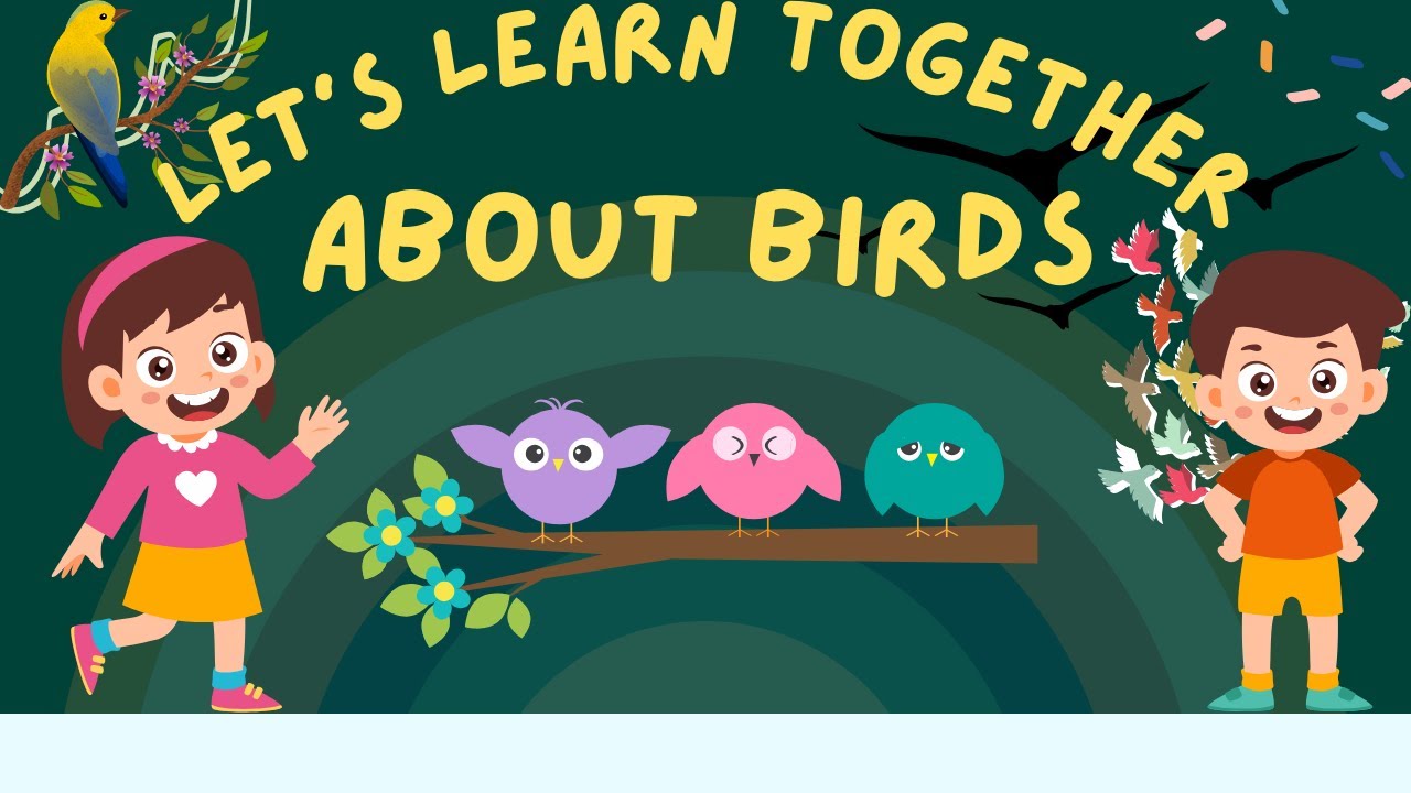 Birds for children|| interesting facts about birds || learn with birds ...