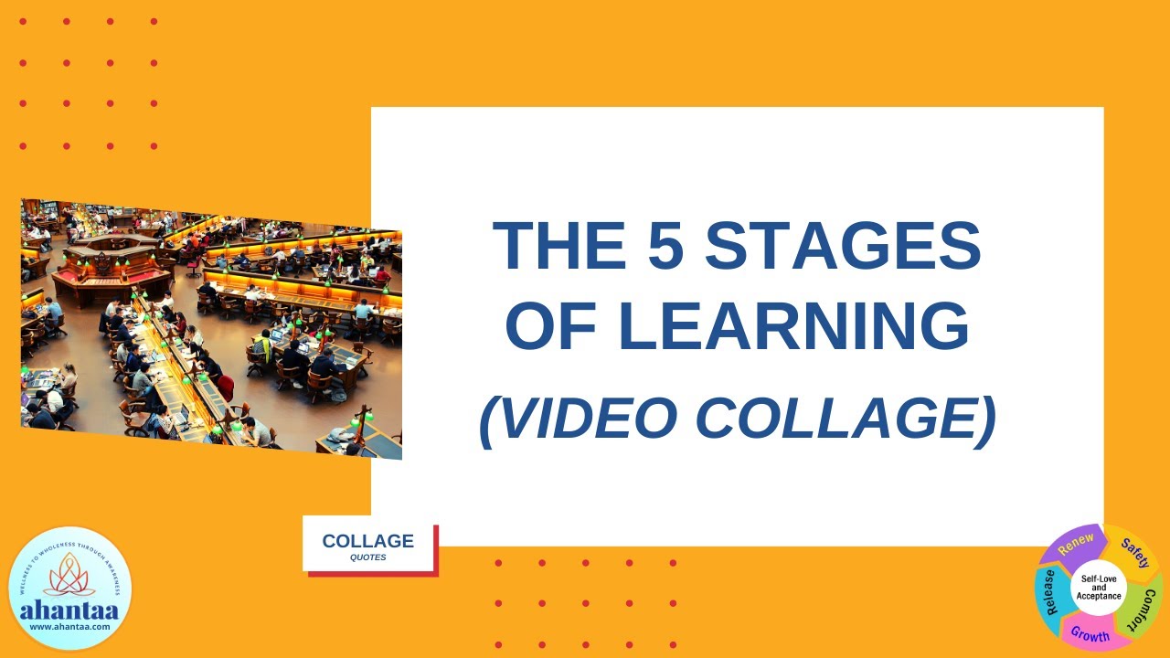 The 5 Stages of Learning (Intellectual Needs) - YouTube