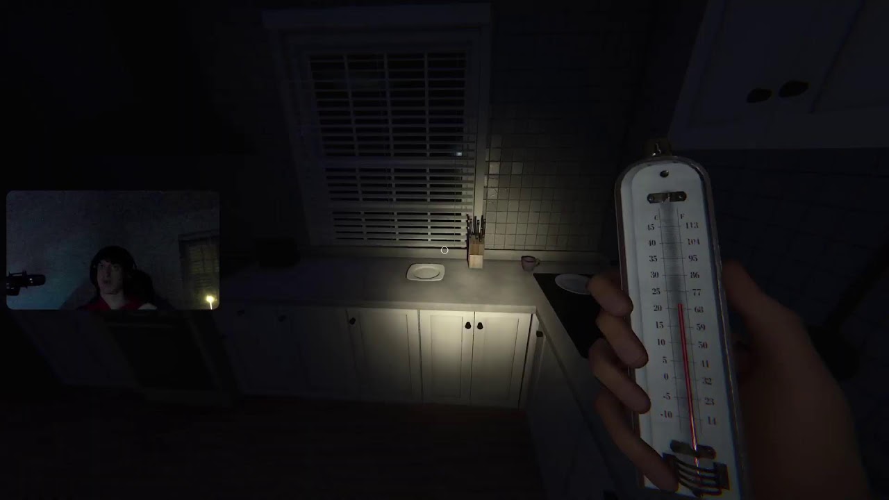 Face Reveal birthday Phasmophobia live stream - YouTube