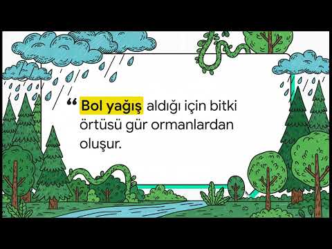 Kpss Coğrafya: Karadeniz İklimi