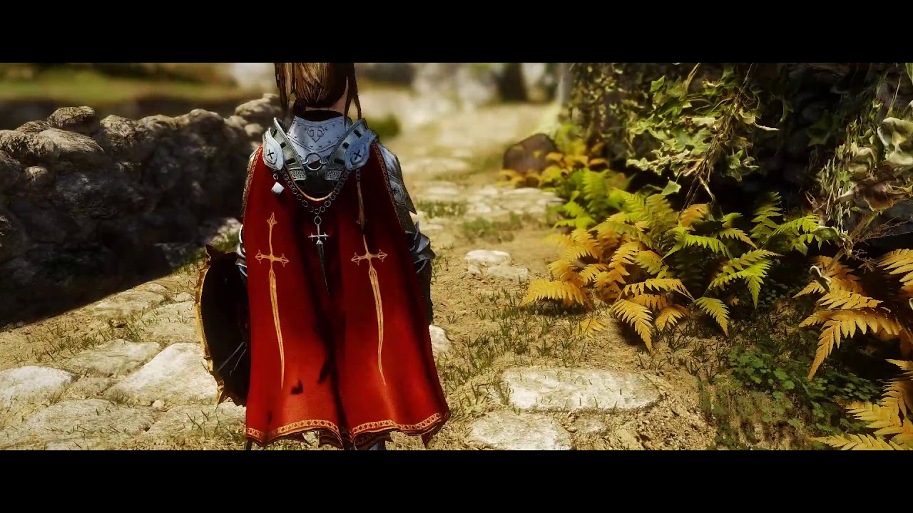 Skyrim Ultra Realistic 2020 - 60FPS|1080P + Download Modlist | PT-BR ...