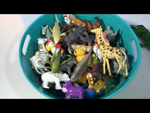 Bucket Full of Wild Animals Learn Colors Learn Animals Names - YouTube