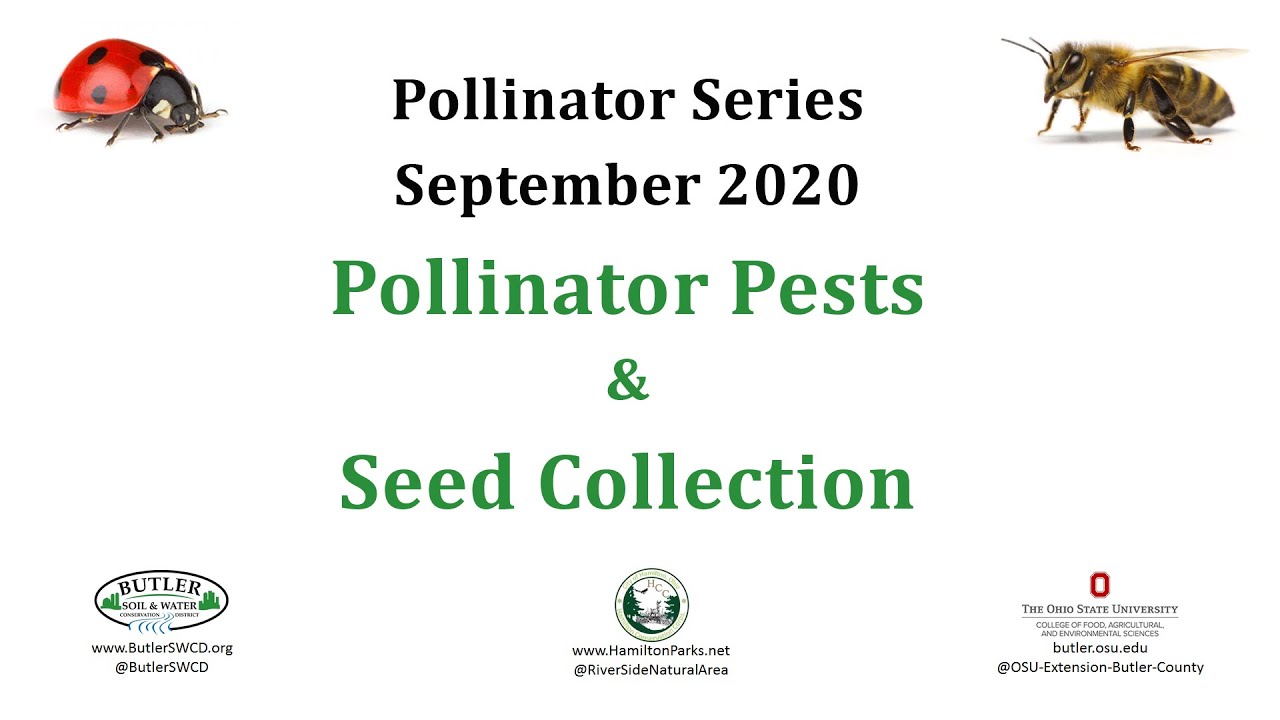 Pollinator Garden Pests: Pollinator Series - YouTube