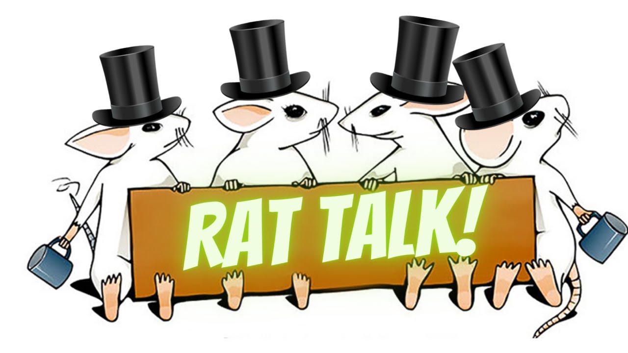 Dungeons and Dragons 5e vs. Pathfinder 2e, D20 Discussion, Heart RPG vs ...