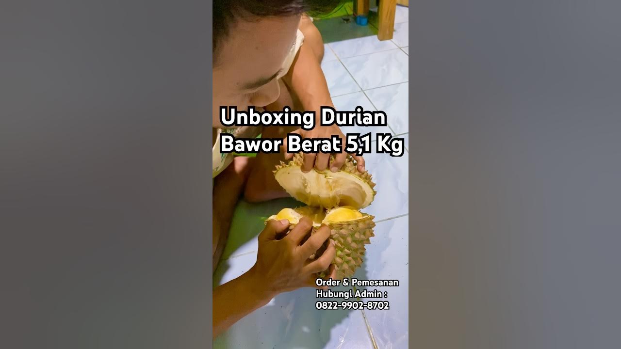 Unboxing Durian Bawor untuk Pelanggan dari Jagakarsa #durian #durianbawor #durianbaworbanyumas ...